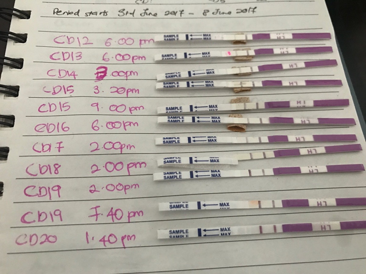 What does a positive ovulation test look like?