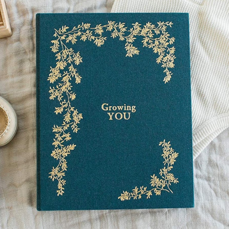 9 Best Pregnancy Journals To Record Your Special Journey