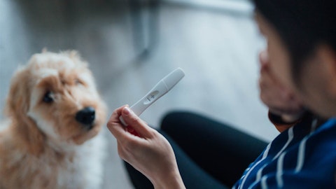 Can Dogs Sense Pregnancy? Facts vs Myths