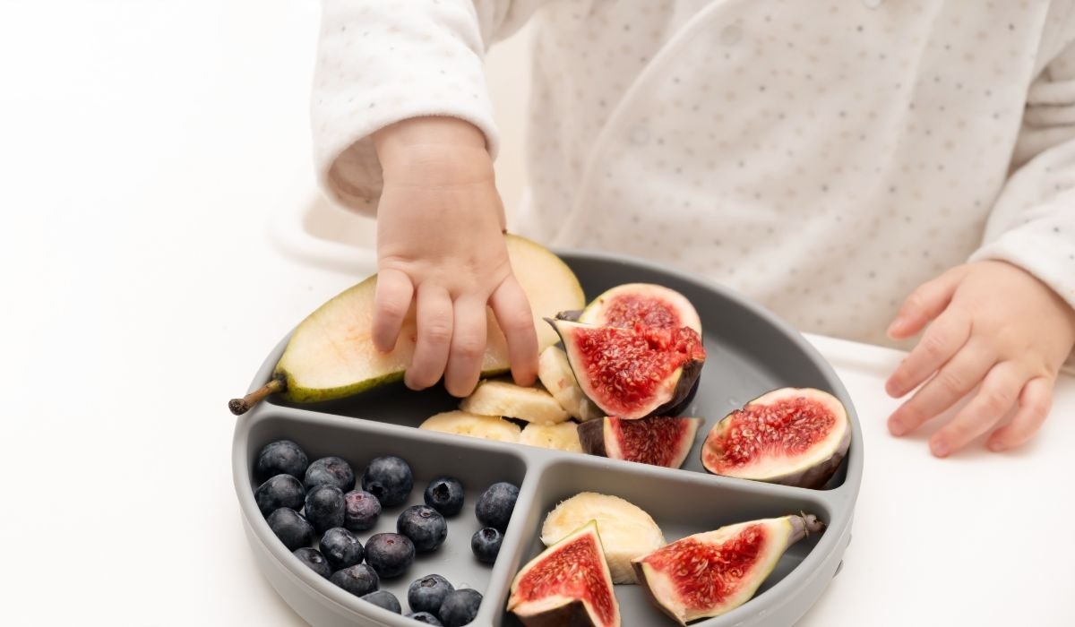 15 Best Toddler Plates 2023: For Making Meal Time Engaging