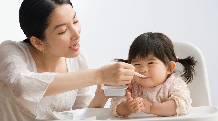 Best Toddler Food Products That Are Nutritious And Tasty