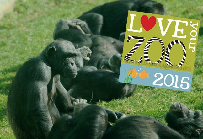 It’s Love Your Zoo week 2015! | Family Life | Mother & Baby