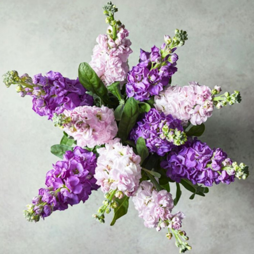 Waitrose flower delivery: Luxury bouquets perfect for gifting