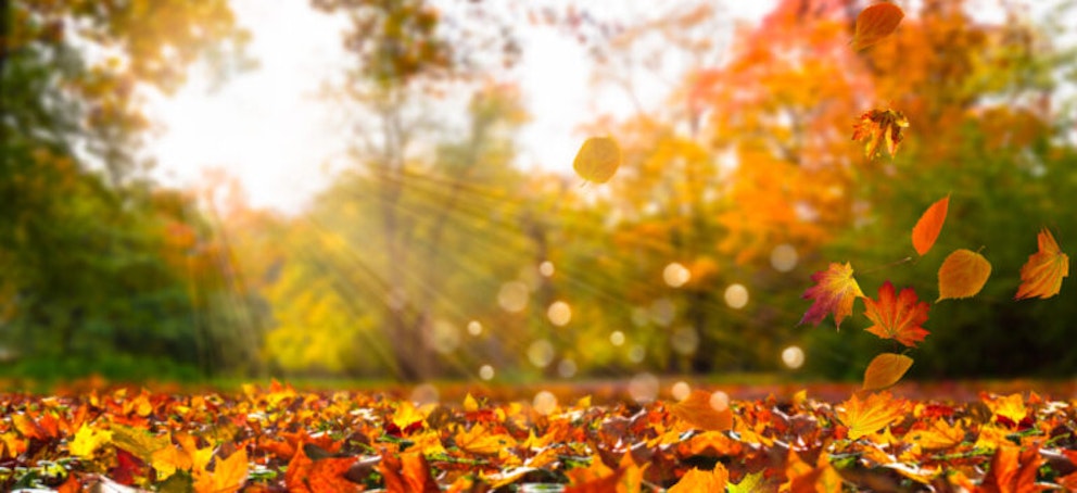 51 autumn names you'll 'fall' in love with for your baby