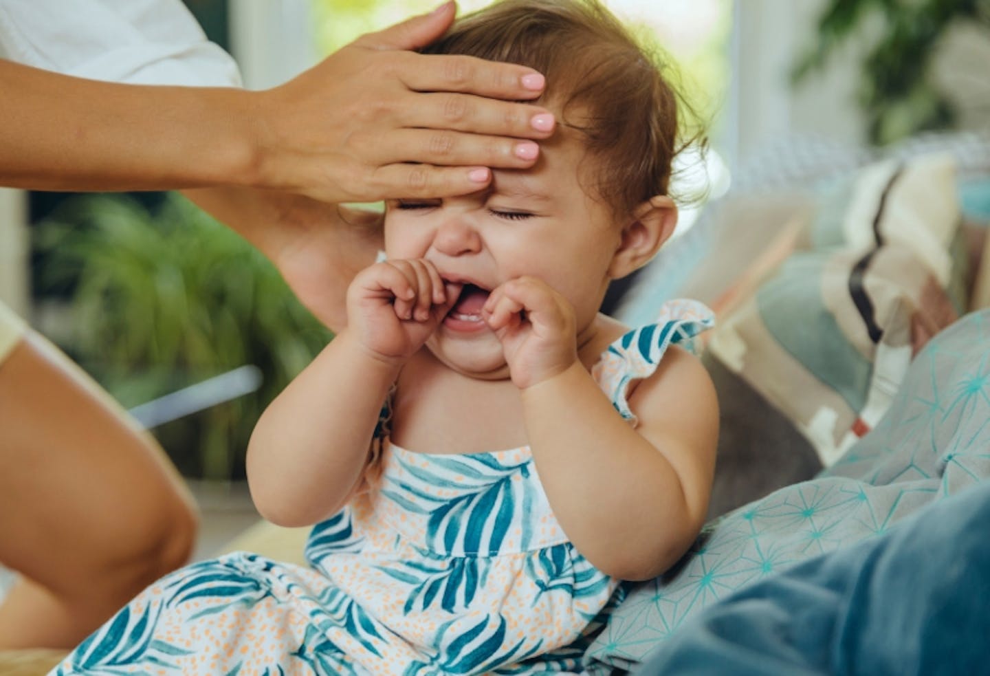 Chest Infections The Symptoms And Treatment In Babies And Toddlers Chest Infections The Symptoms And Treatment In Babies And Toddlers