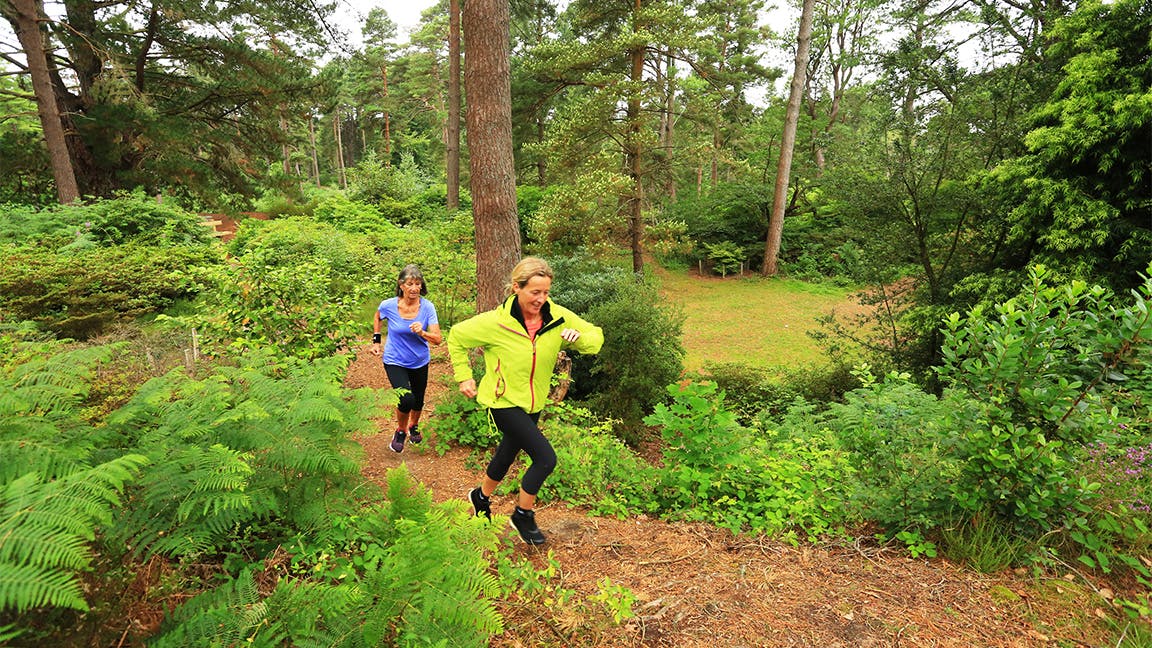 How To Get Back Into Running