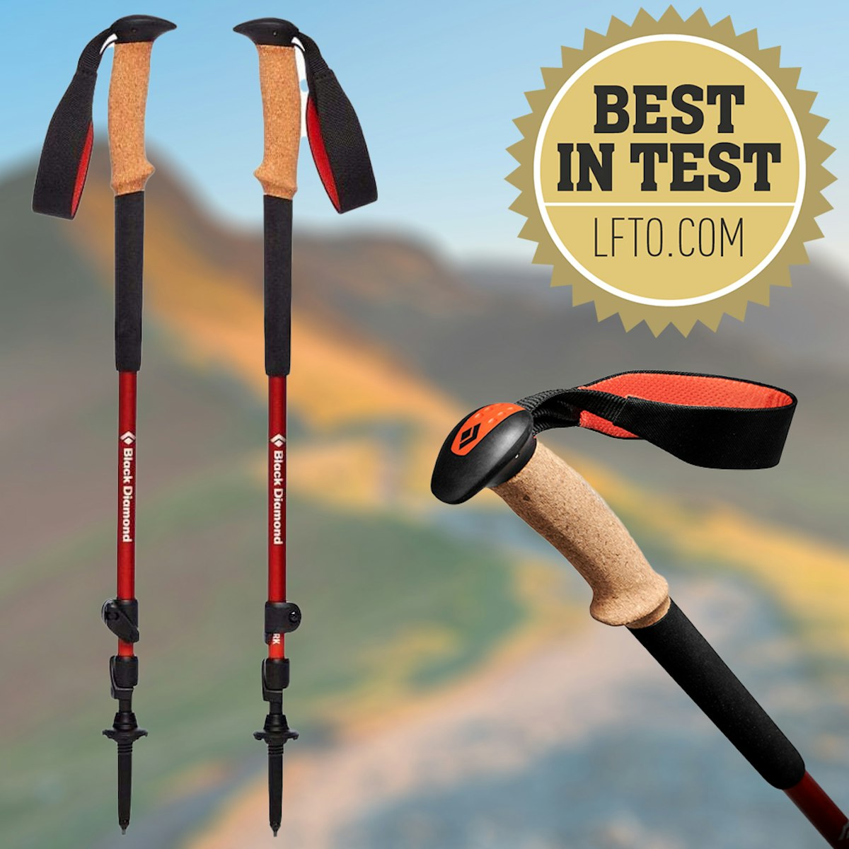 The Best Walking Poles Reviewed (2023) | Hiking | live for the outdoors