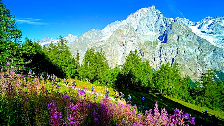 What is the UTMB? Races and distances explained