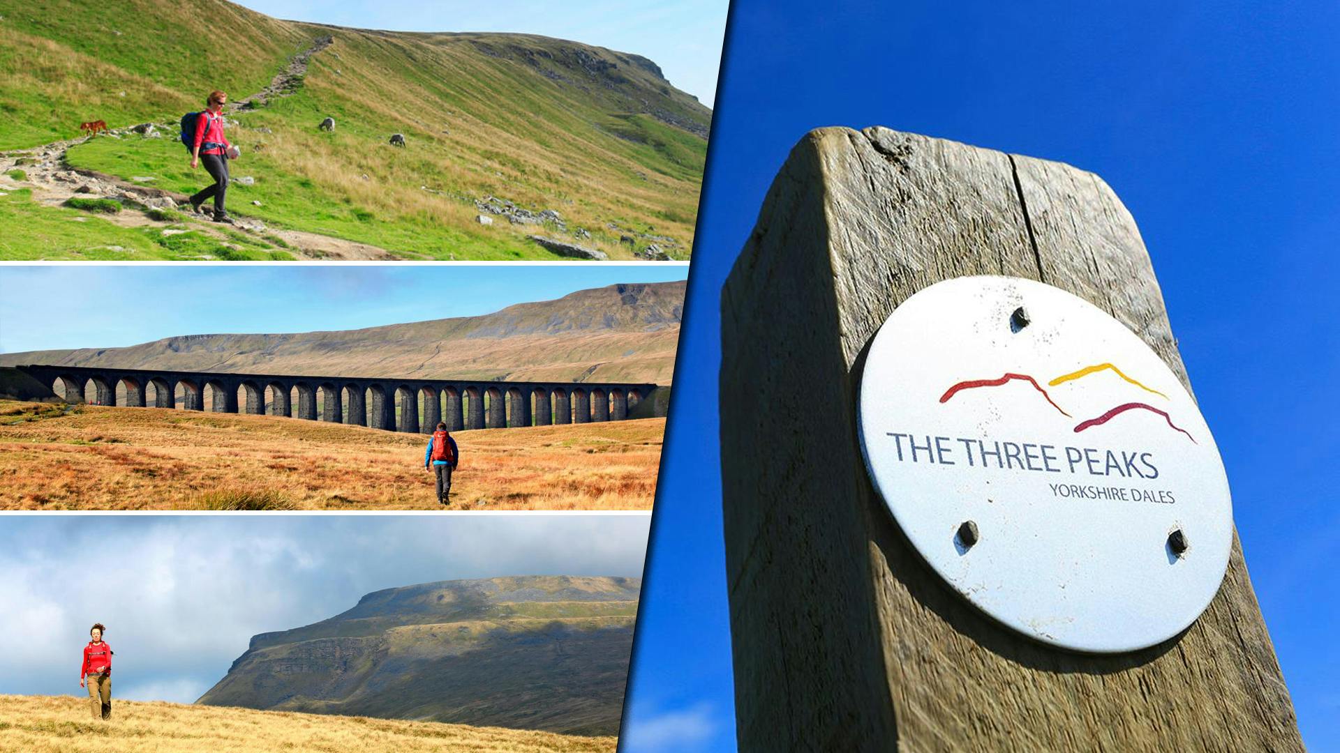 How to walk the Yorkshire Three Peaks Challenge | LFTO