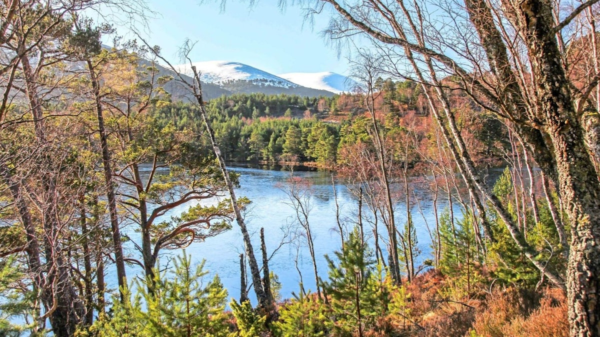 Best walks from Aviemore – from ancient forests to epic mountains