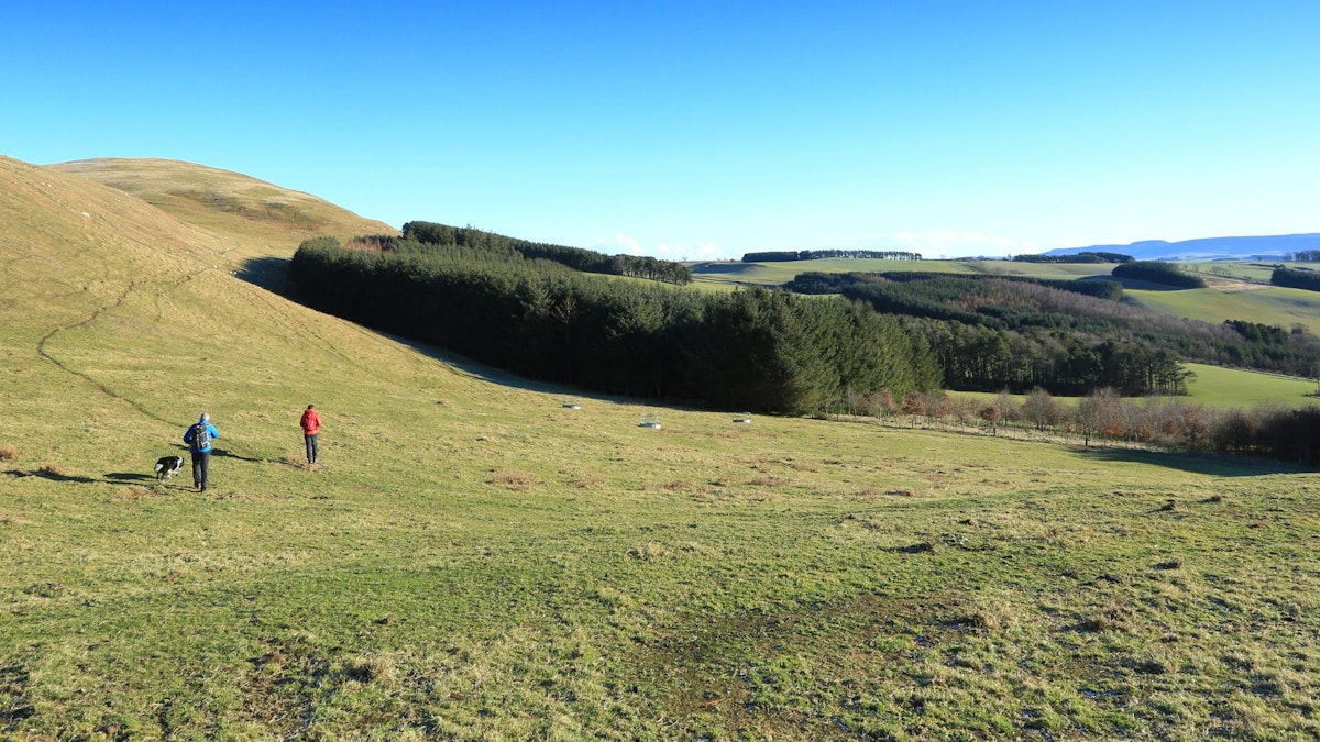 How to use a compass and map to navigate | Explained by experts