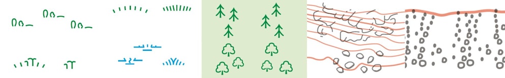 How to use a compass and map to navigate | Explained by experts