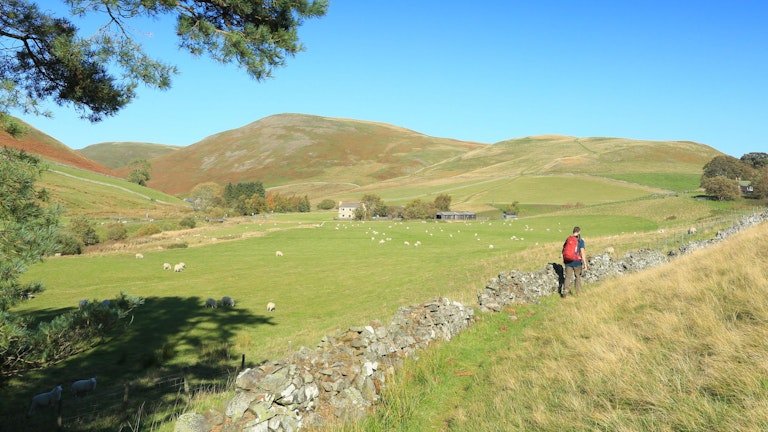 How to use a compass and map to navigate | Explained by experts