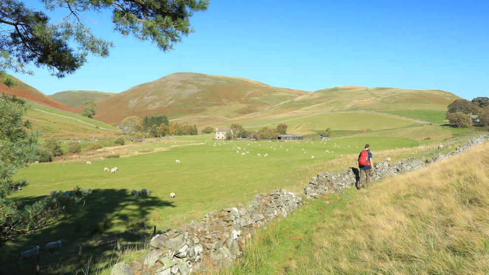 How to use a compass and map to navigate | Explained by experts