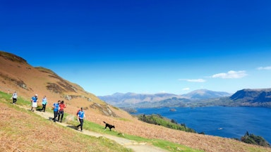 Cat Bells walking route | Lakeland's favourite mini mountain