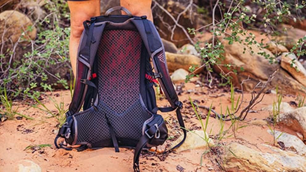 Find the perfect pack for your back with Gregory