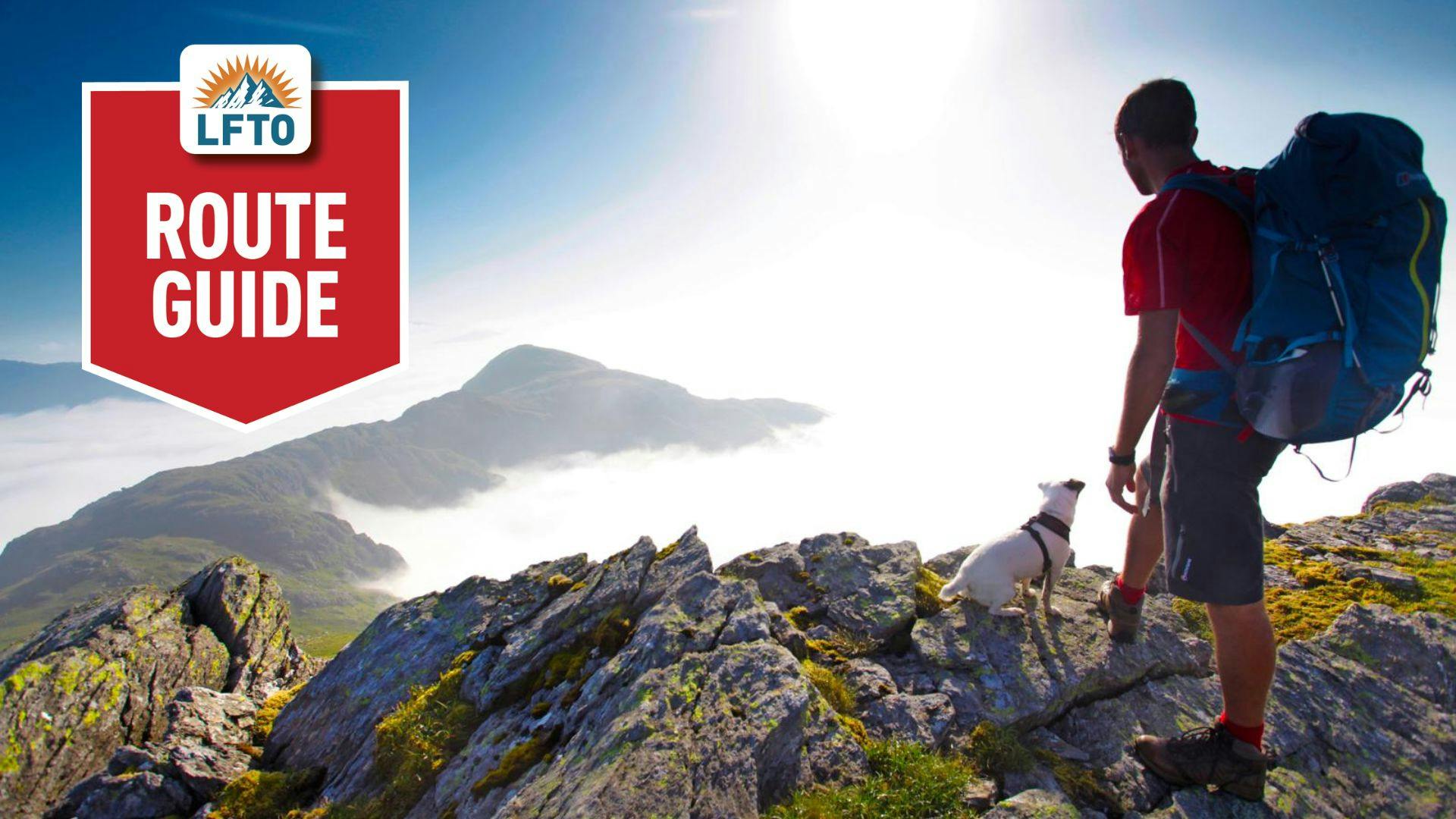 Oli Reed | Author | LFTO