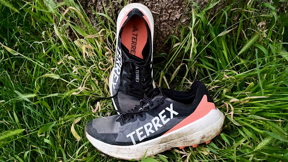 Adidas Terrex Agravic Speed trail running shoes tested and reviewed