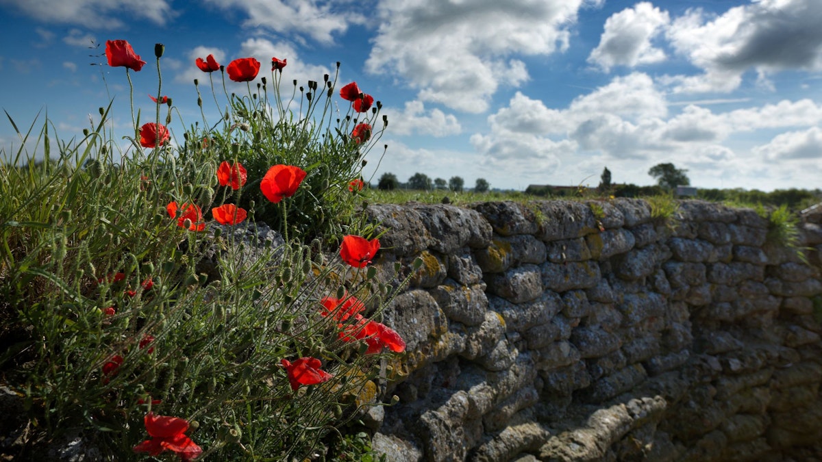 Feel Flanders Fields – unmissable exhibitions, events and tours in ...