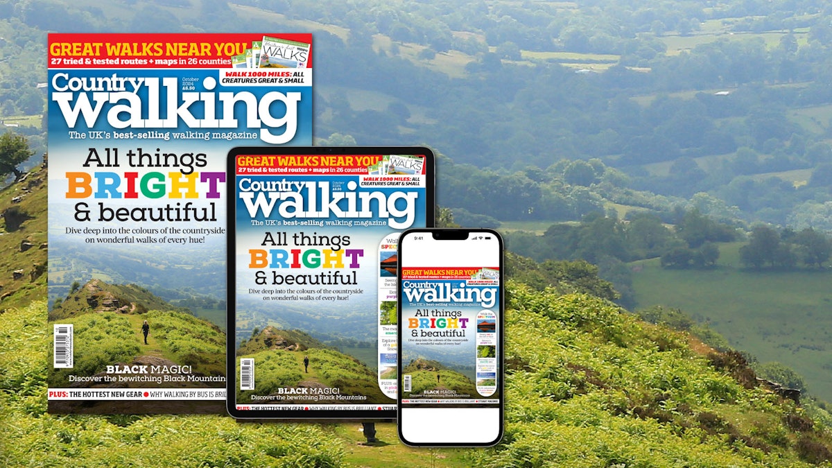 Country Walking, what's inside our latest issue?