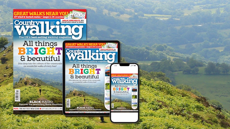 Country Walking, what's inside our latest issue?