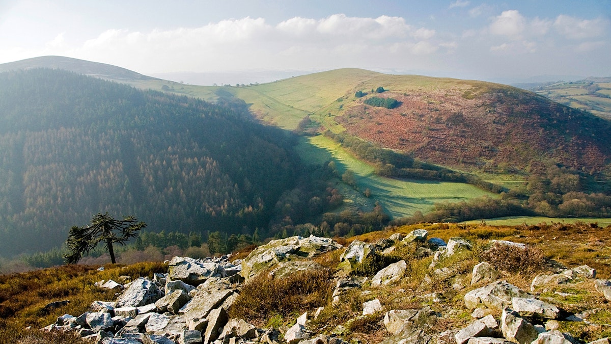 Walk the stunning Stiperstones ridge | Fully mapped route guide