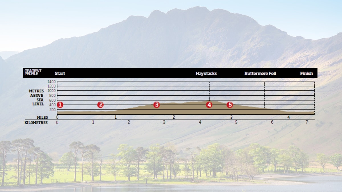 Haystacks route guide | Climb Wainwright's favourite Lakeland fell