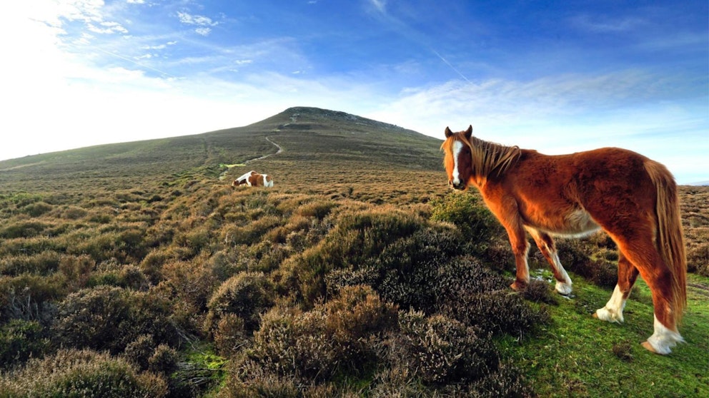 Sugar Loaf walk, Brecon Beacons – route guide for hikers