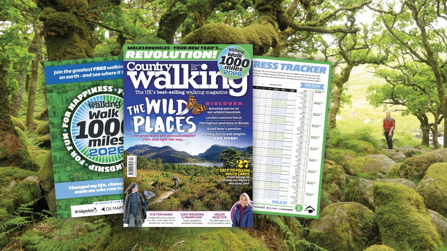Country Walking, what's inside our latest issue?