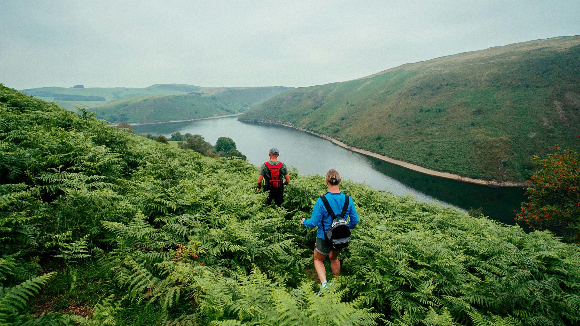 Three of the best hiking trails in Wales accessible by train