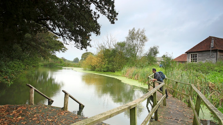 How do you re-wild a landscape? Lessons from the Knepp Wildland