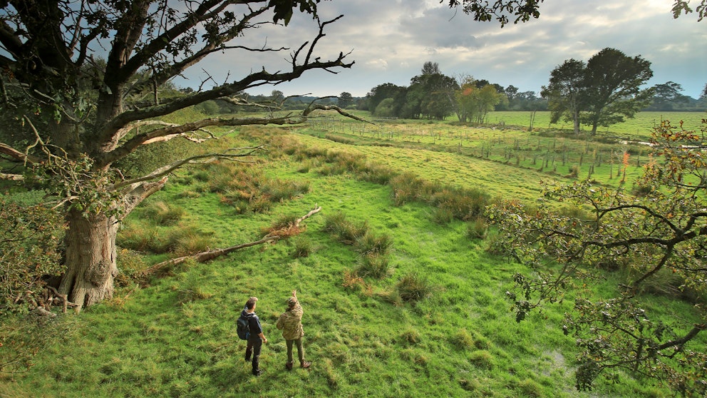 How do you re-wild a landscape? Lessons from the Knepp Wildland