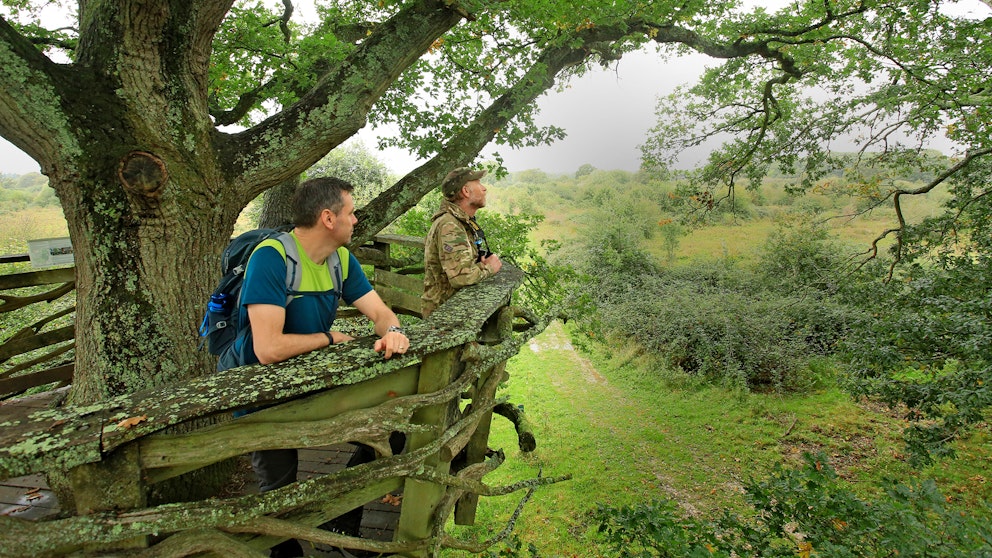 How do you re-wild a landscape? Lessons from the Knepp Wildland