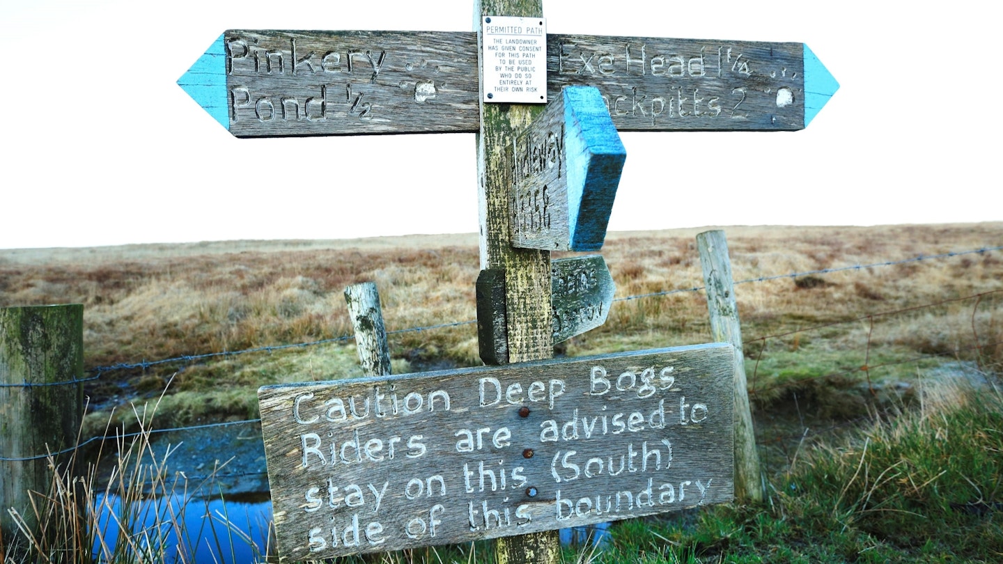 Camping in Exmoor’s Dark Sky Reserve: what to expect