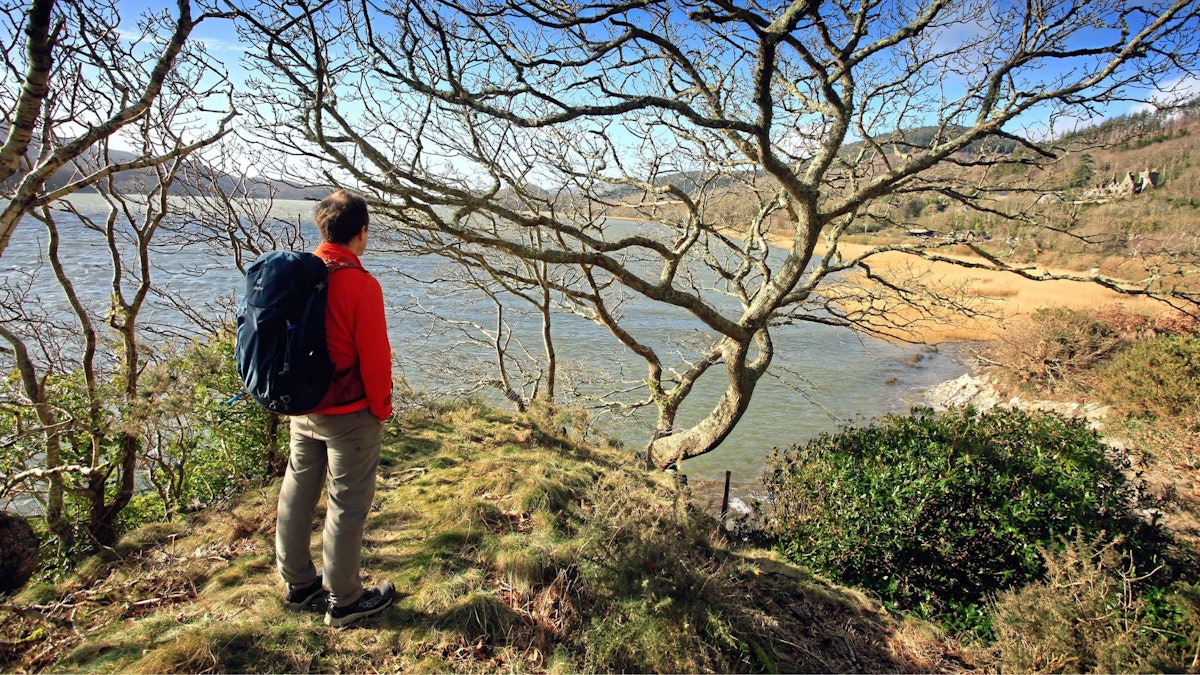 Exploring Britain’s estuaries in winter – 7 stunning walks