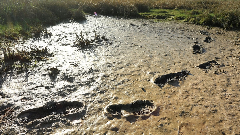 Fed up with muddy, miserable hikes? These 7 essential bits of kit help ...