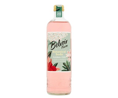 Best Botanical Drinks Guide
