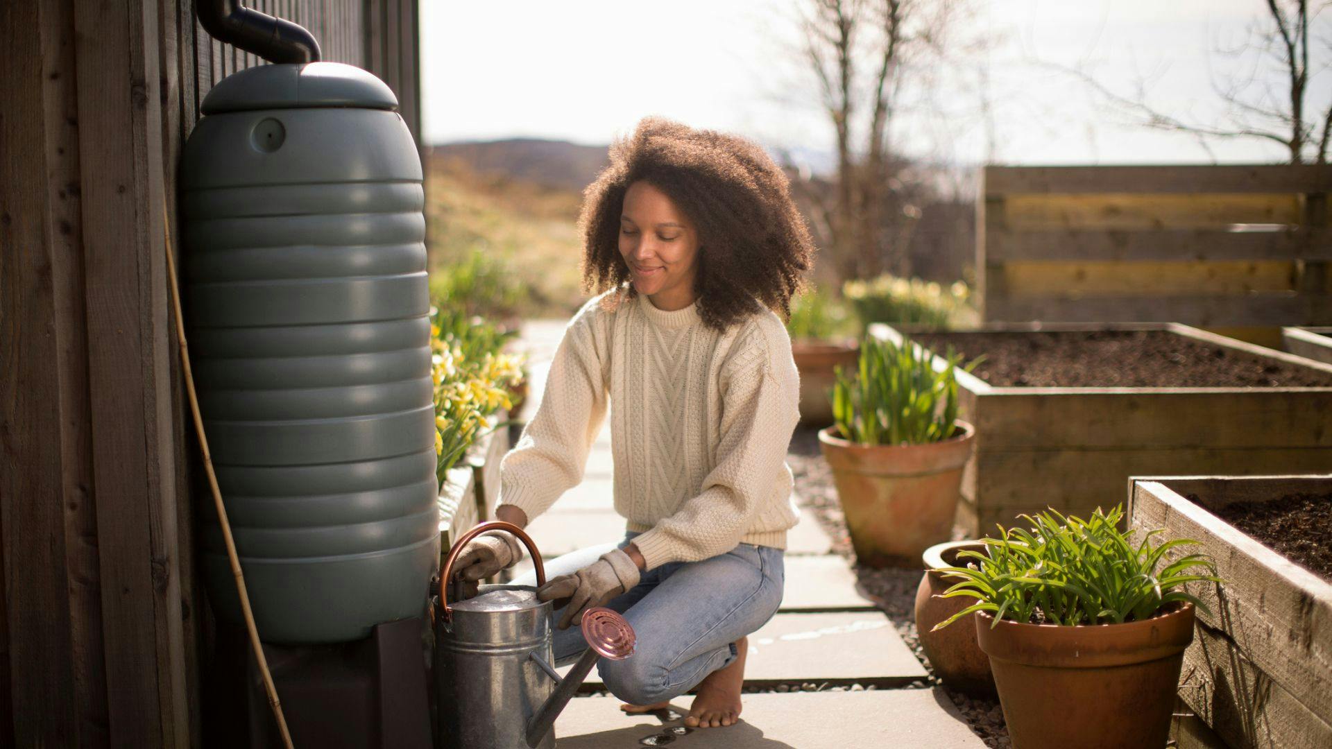 Catch your rainwater with a water butt