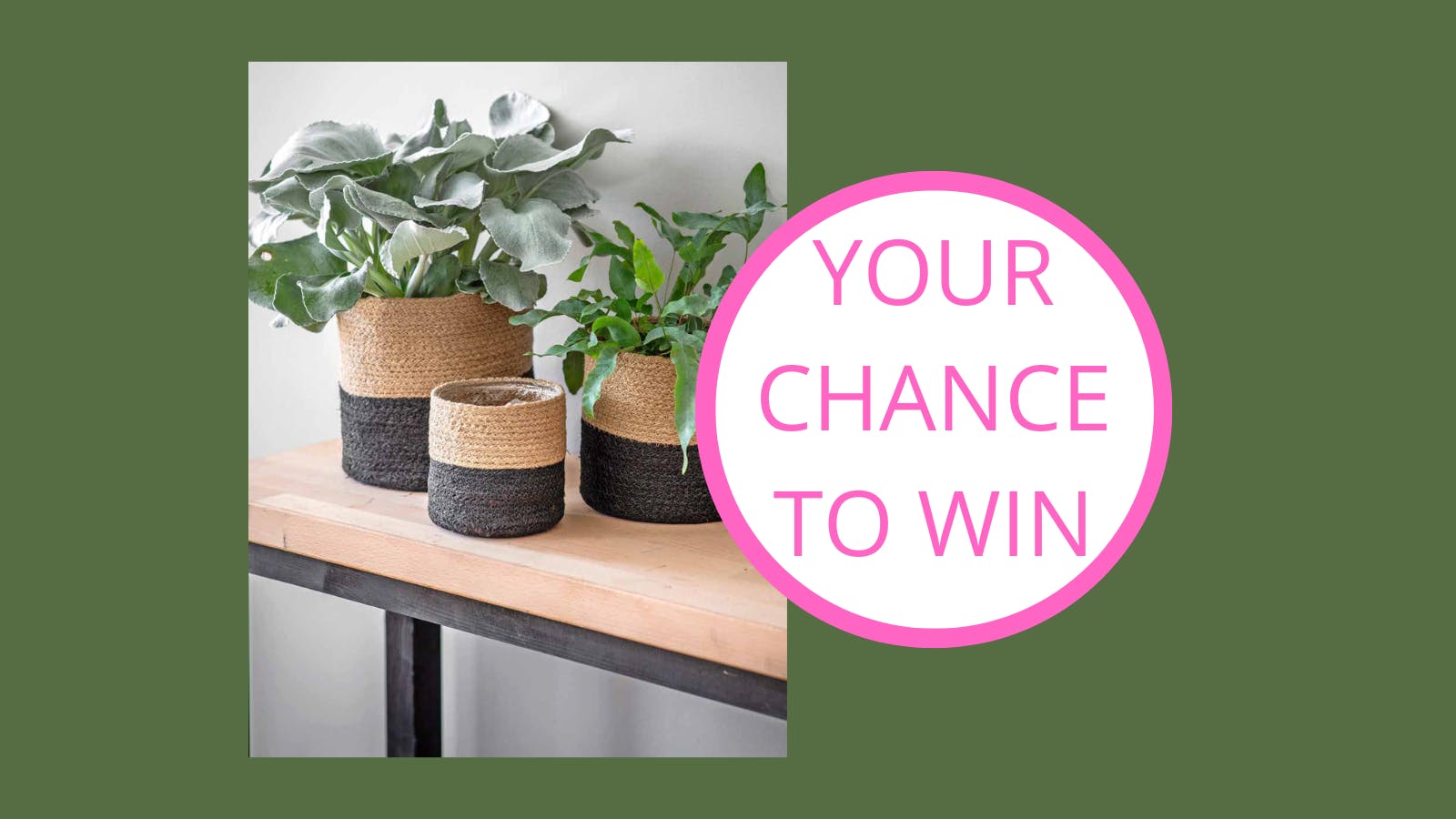 WIN a set of 3 Jute Pots | Modern Gardens