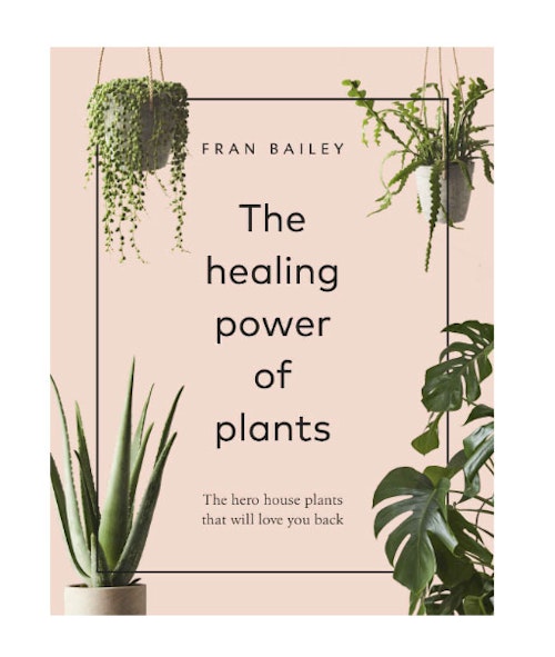 8 of the best indoor plant books | Modern Gardens