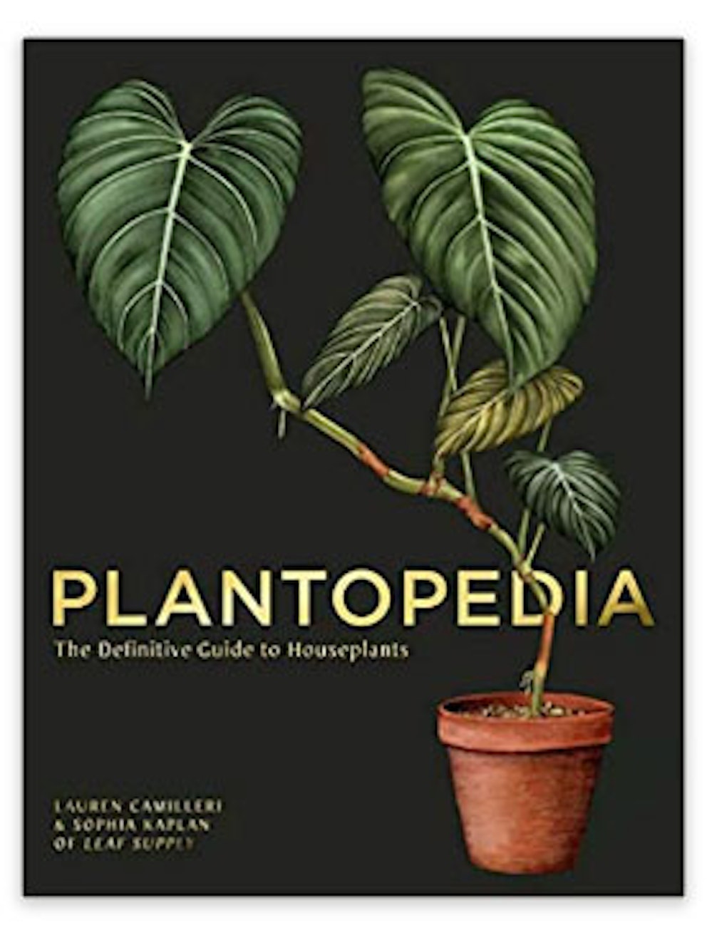 Best indoor plant books for your plant parent journey
