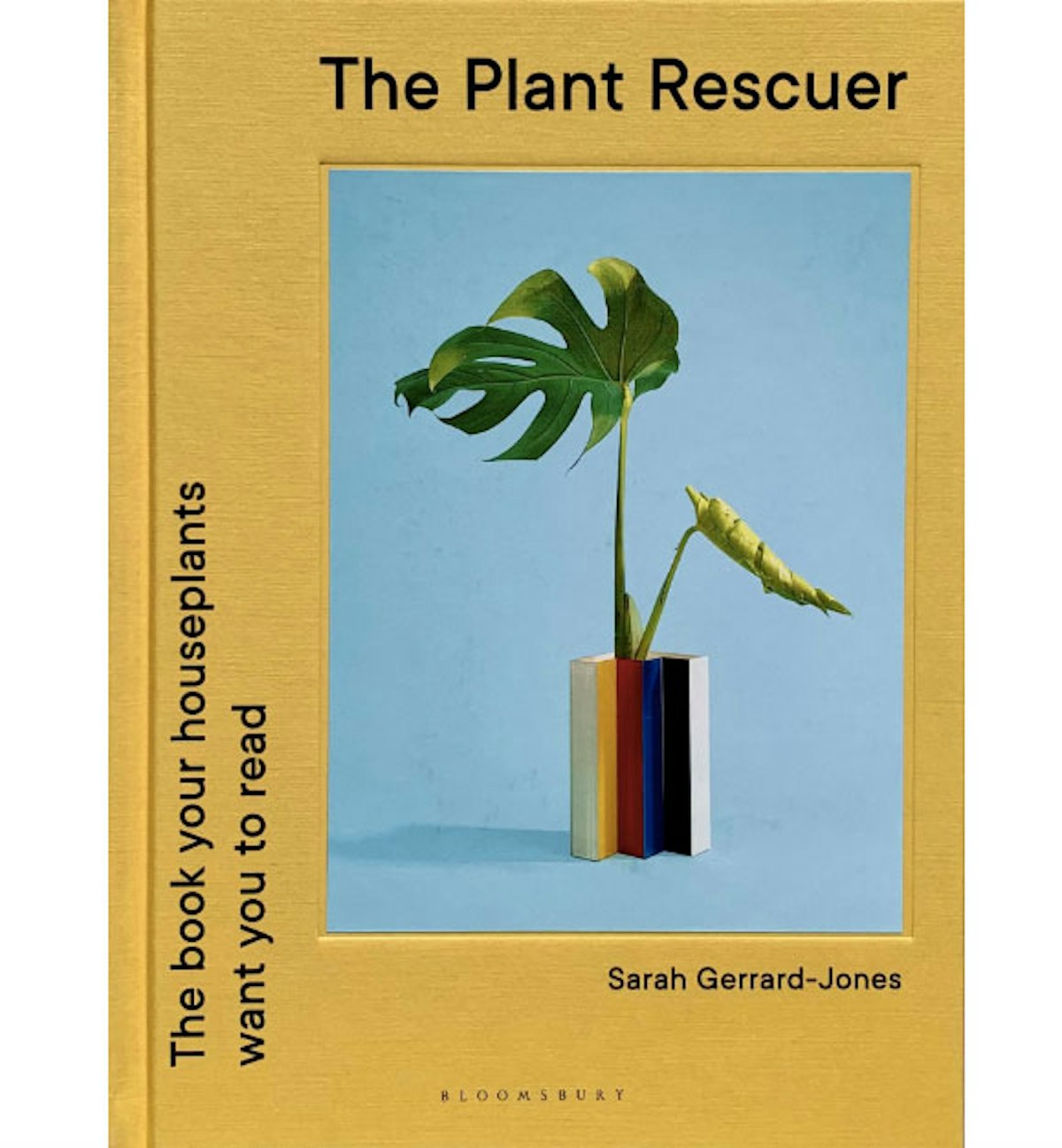 Best indoor plant books for your plant parent journey