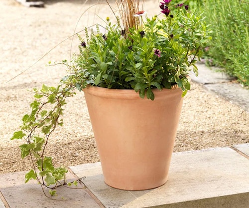 Best small plant pots for showcasing natural beauty | Modern Gardens