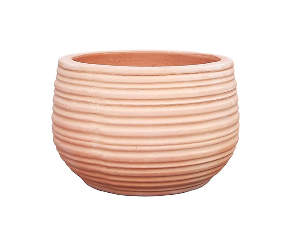 Best outdoor small plant pots for showcasing natural beauty