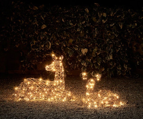 Best energy-efficient Christmas lights for your garden | Modern Gardens