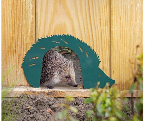 Best wooden fencing to upgrade your garden boundary | Modern Gardens