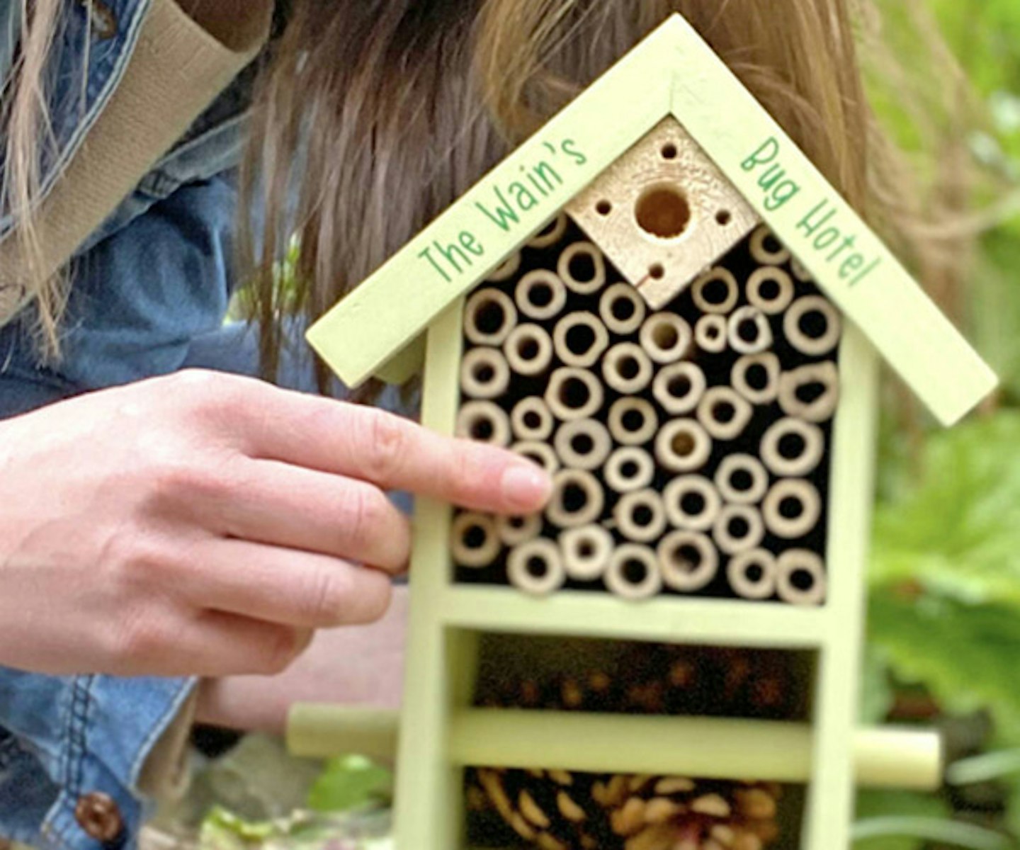 Best Bug Hotels