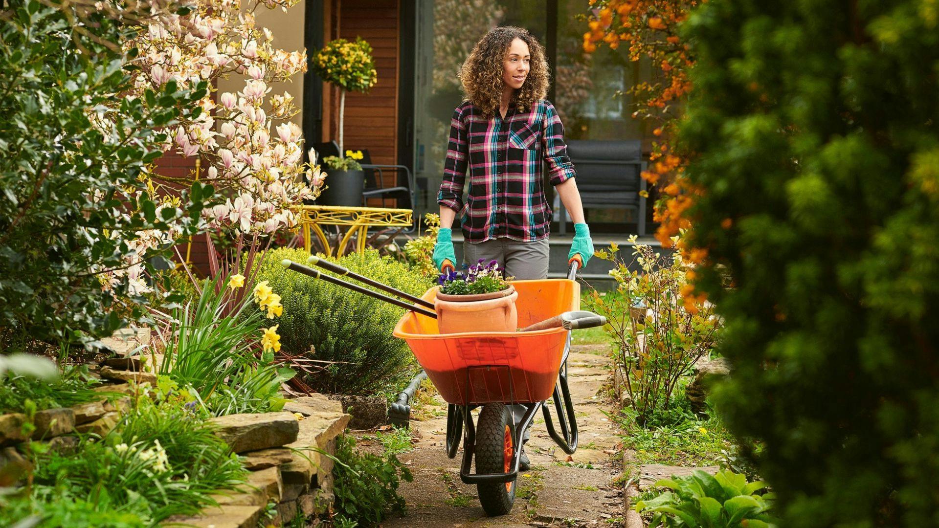 12 top tips for what to do in your garden this spring