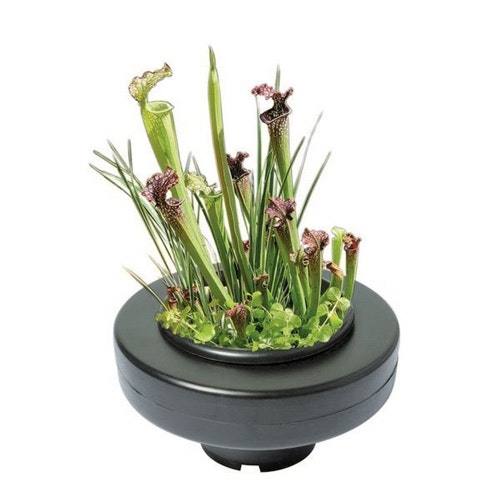 Superfish Floating Pond Basket