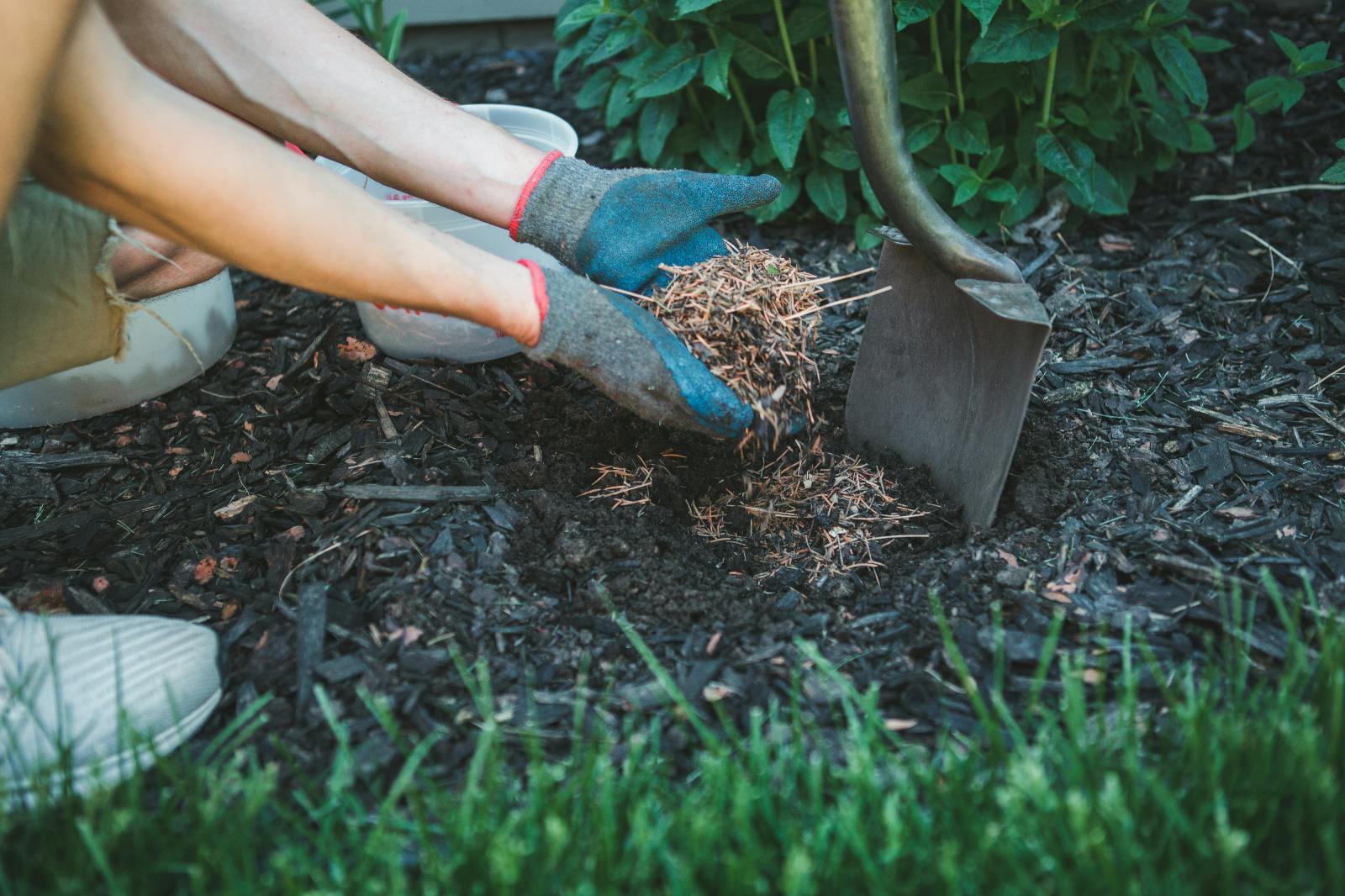 All You Need To Know About Mulch For Gardening